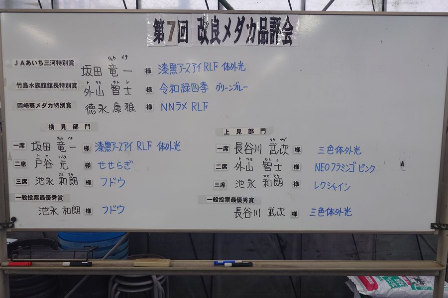 岡崎葵メダカのつぶやき : 第7回改良メダカ品評会結果発表