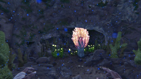 ASA -Underwater Pearl Cave- : 葵芝生のARK survival TaeniaStella＆ちょこっとASA 情報 ...