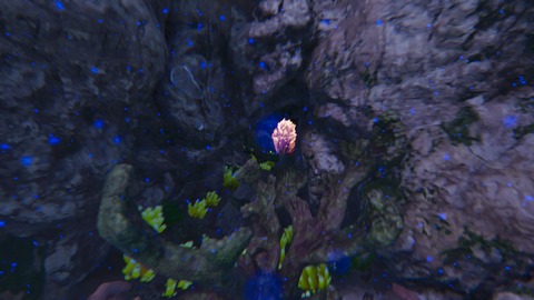 ASA -Underwater Pearl Cave- : 葵芝生のARK survival TaeniaStella＆ちょこっとASA 情報 ...