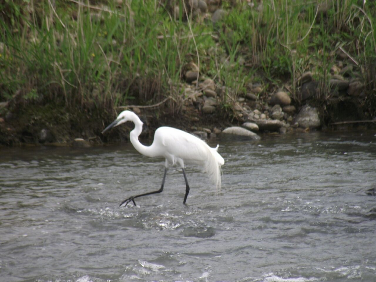 可児川 Kani River : Aoyama Runma Blog 青山 走馬 ブログ