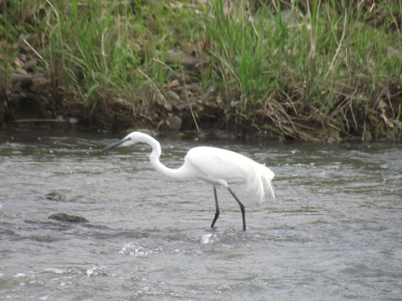 可児川 Kani River : Aoyama Runma Blog 青山 走馬 ブログ