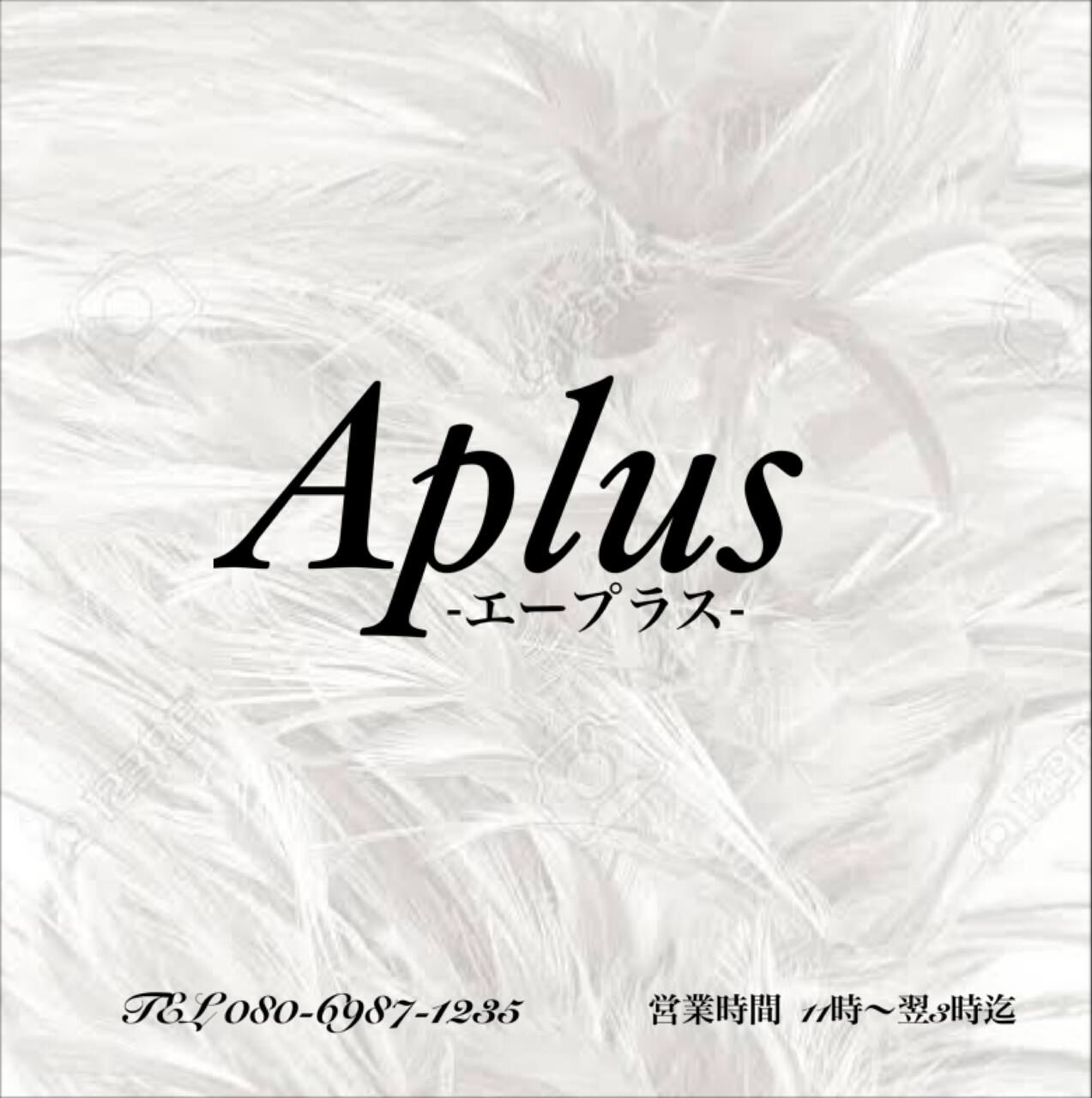 本日の癒やしてくれるセラピストは！？ : Aplusのblog