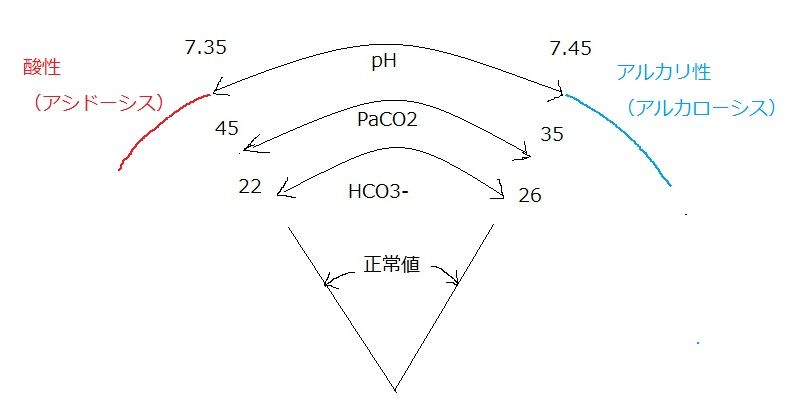 理学療法士 （PT） だって 人間だもん : 実際に動脈血液ガスのデータを見てみよう