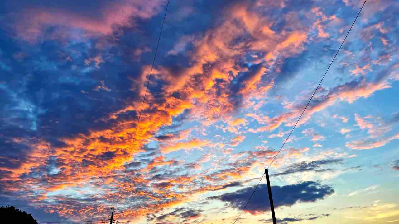 #226 Days : 幾人吐色