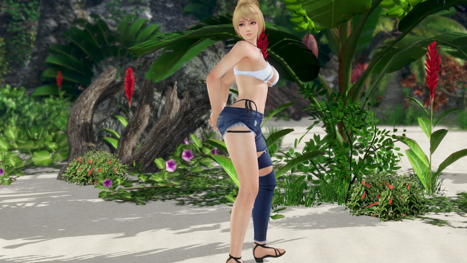 【DOAXVV】ゆきの【スキニー・シャーク】 : VV-FUN