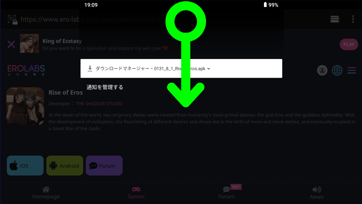 【Rise of Eros 海外版】日本版と海外版の違い（PC） : ERO GAME LAB