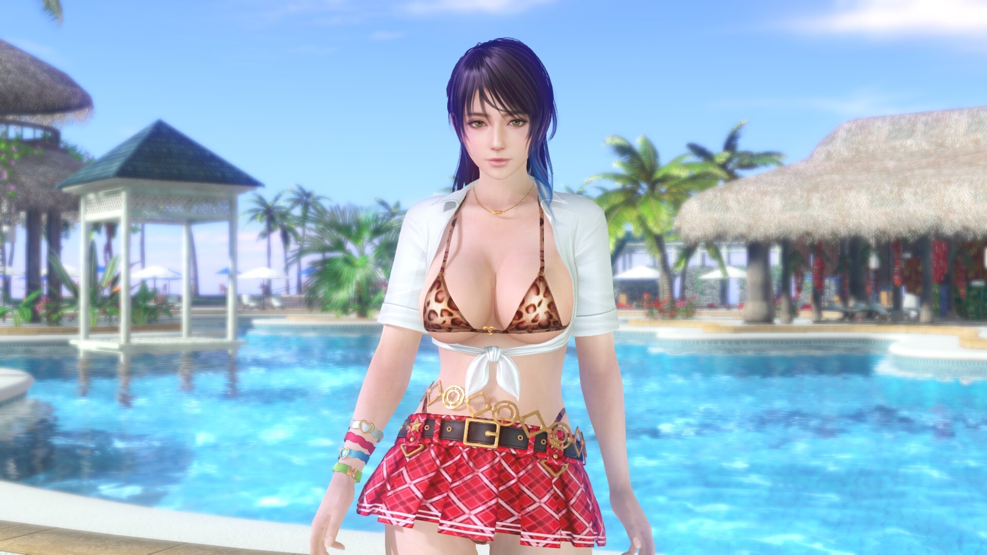 【DOAXVV】スクール・バイブス【水着紹介】 : DOAXVVオーナーのゲームブログ