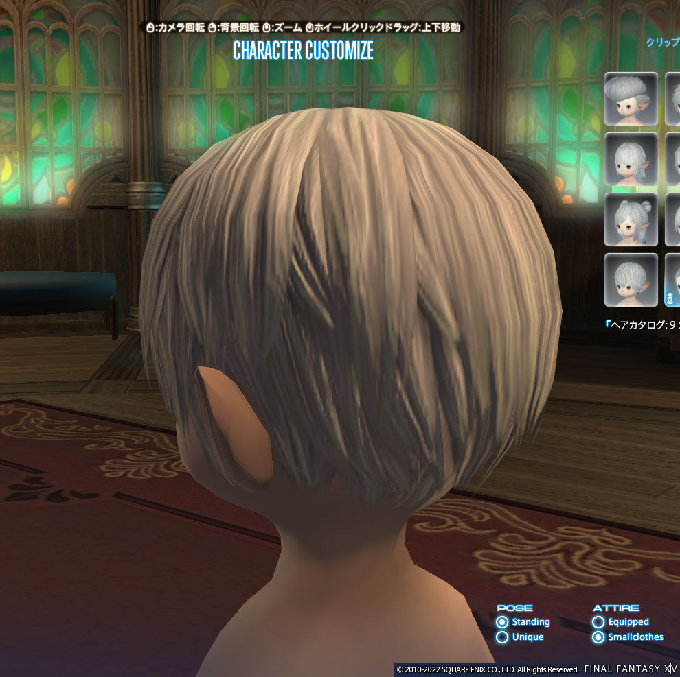 FF14 ヘアカタログ：9Sを希望ノ砲台：「塔」でもらってきて美容室でどんな髪型か見てみましたーヾ(〃^∇^)ﾉ レベル80 : ありさ日記 日常