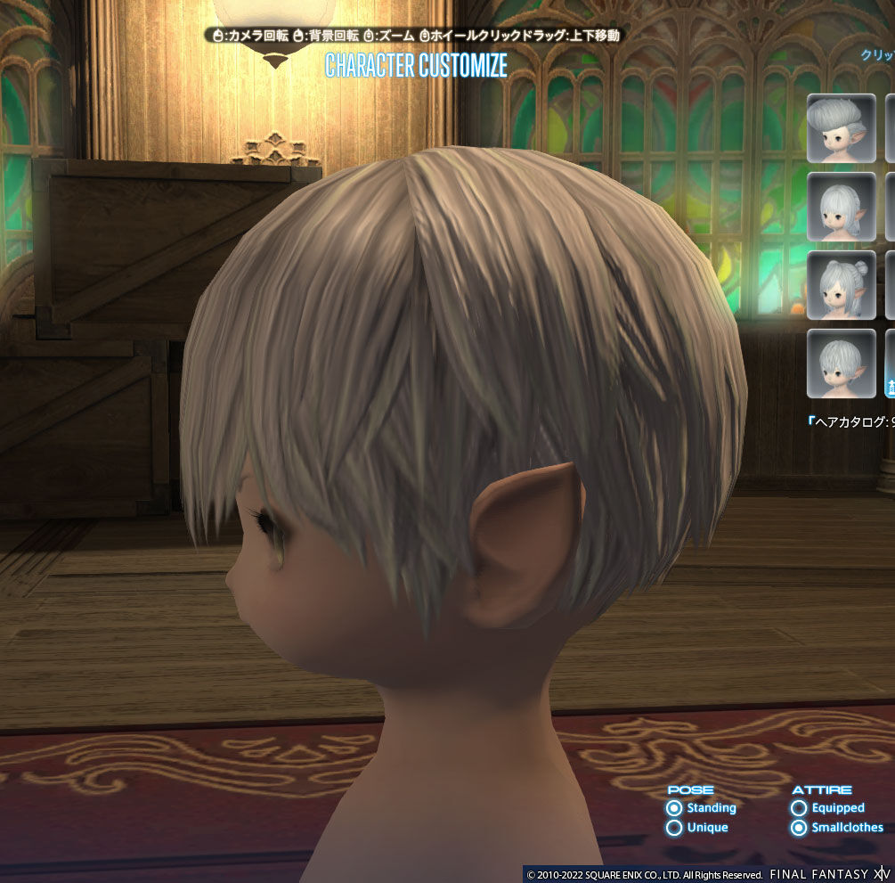 FF14 ヘアカタログ：9Sを希望ノ砲台：「塔」でもらってきて美容室でどんな髪型か見てみましたーヾ(〃^∇^)ﾉ レベル80 : ありさ日記 日常