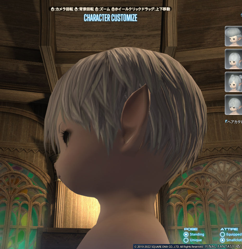 FF14 ヘアカタログ：9Sを希望ノ砲台：「塔」でもらってきて美容室でどんな髪型か見てみましたーヾ(〃^∇^)ﾉ レベル80 : ありさ日記 日常