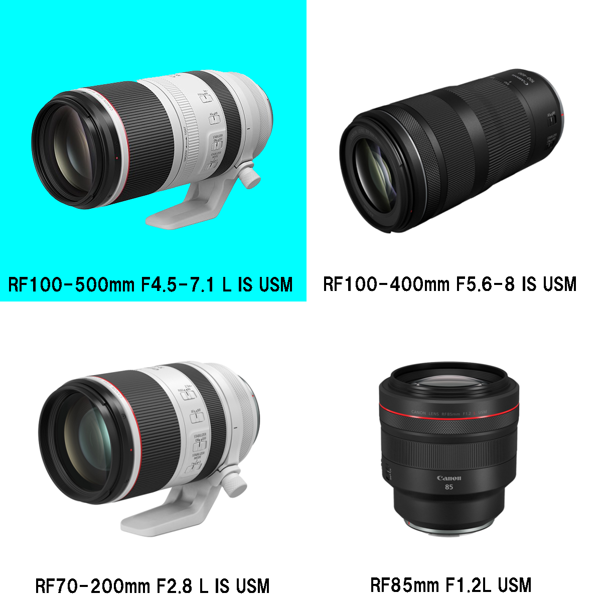＜超望遠レンズ＞「RF100-500mm F4.5-7.1 L IS USM」は買いなのだろうか？ : Ark Pilot