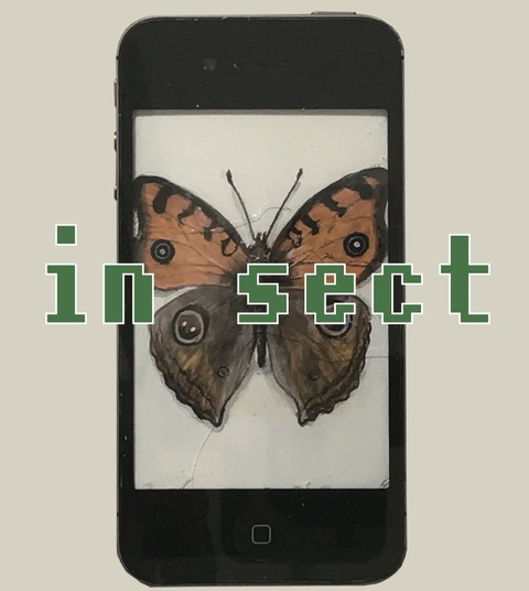 小堺勝 個展『insect』@ZINE gallery : He-art通信/アーティストを応援するウェブマガジン