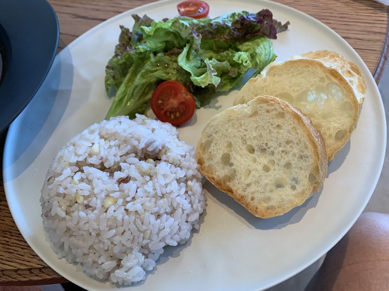 4/13OPEN!加賀市塩屋町「Cafe & Dog Run Mou」鹿島の森を眺めながら愛犬も一緒にまったりできるカフェでランチ : あさ ...