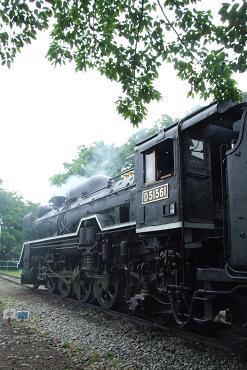 亜洲鉄道日記 : 2008年5月25日 空気機関車 D51 561 （川場村 ホテルSL）