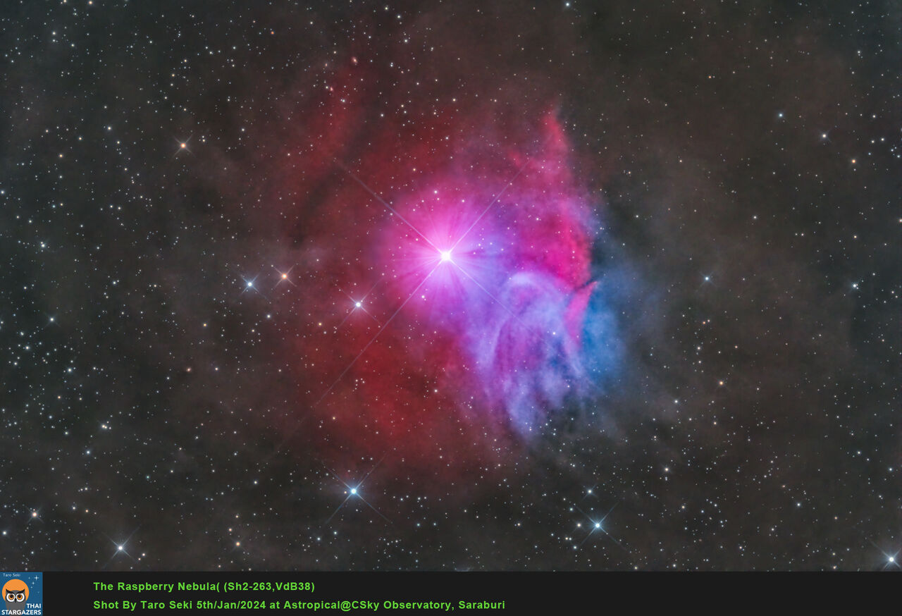 (1340mm) The Raspberry Nebula (ラズベリー星雲) Sh2-263,VdB38 : Astropical
