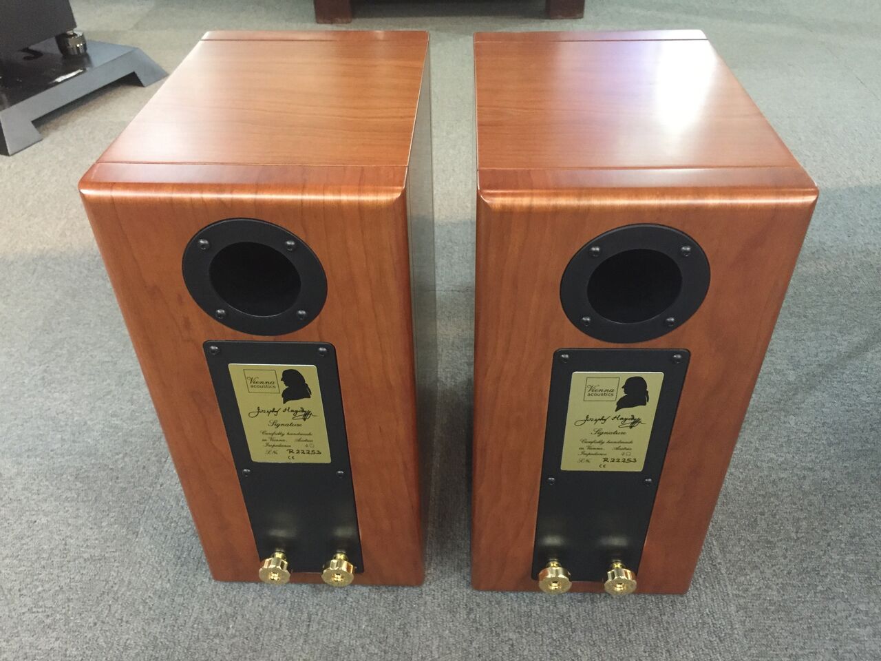 Vienna Acoustics Haydn Symphony Edition ( SE ) SIGNATURE ② Vienna Acoustics Haydn Symphony Edition ( SE ) SIGNATURE ②