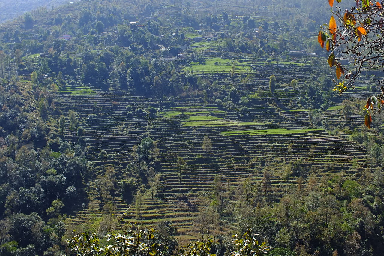ネパール・ポカラ、フェディ～ダンプス Naudanda（ノーダラ）の見える山のレストラン～View Top Restaurant ネパール ...