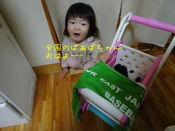 もしかしたら、皐月心臓病かも・・・ : シーズー犬あゆみらなのさっ！