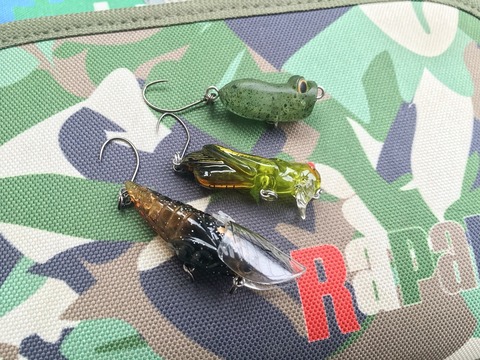 水面が面白くなってきた : Lure Fishing in Hokkaido