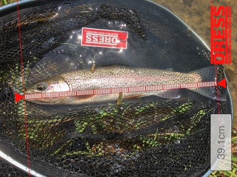 アブマチック デビュー : Lure Fishing in Hokkaido