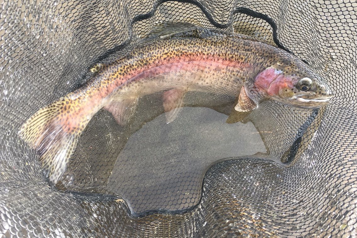 ビッグファイト松本 : Lure Fishing in Hokkaido