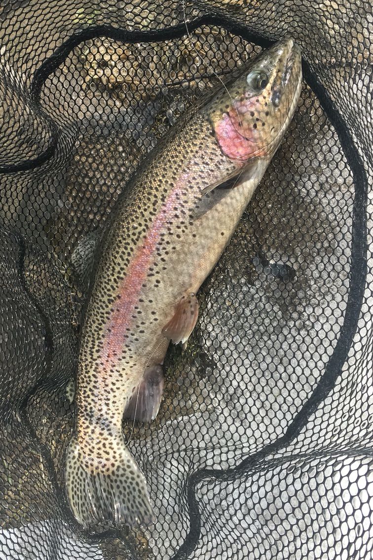 ビッグファイト松本 : Lure Fishing in Hokkaido