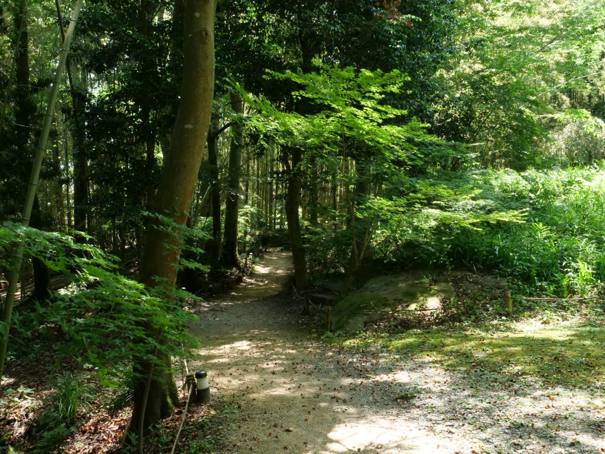 教林坊 : 三奥山房