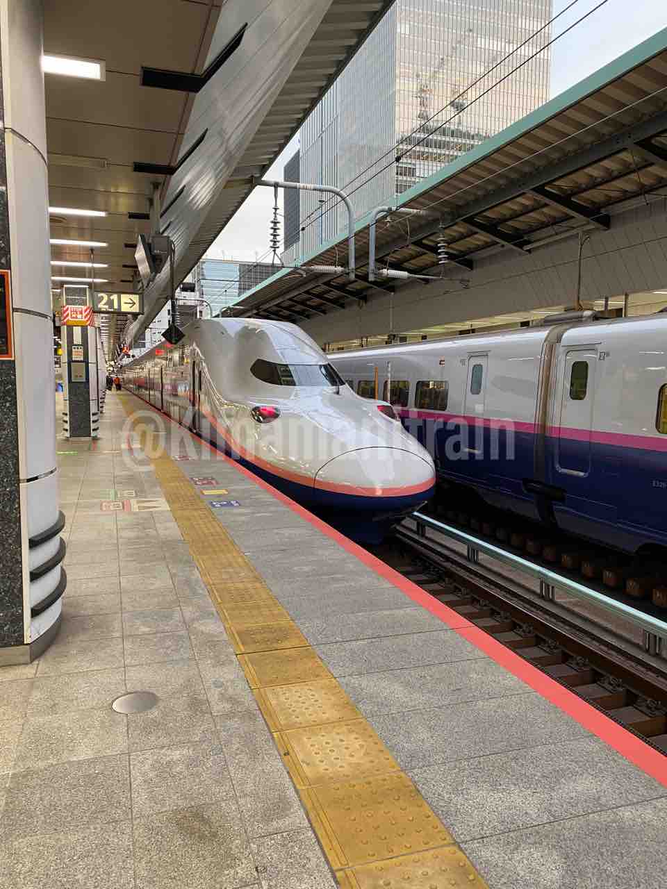 JR東日本上越新幹線 E4系P81編成 : きままに鉄道