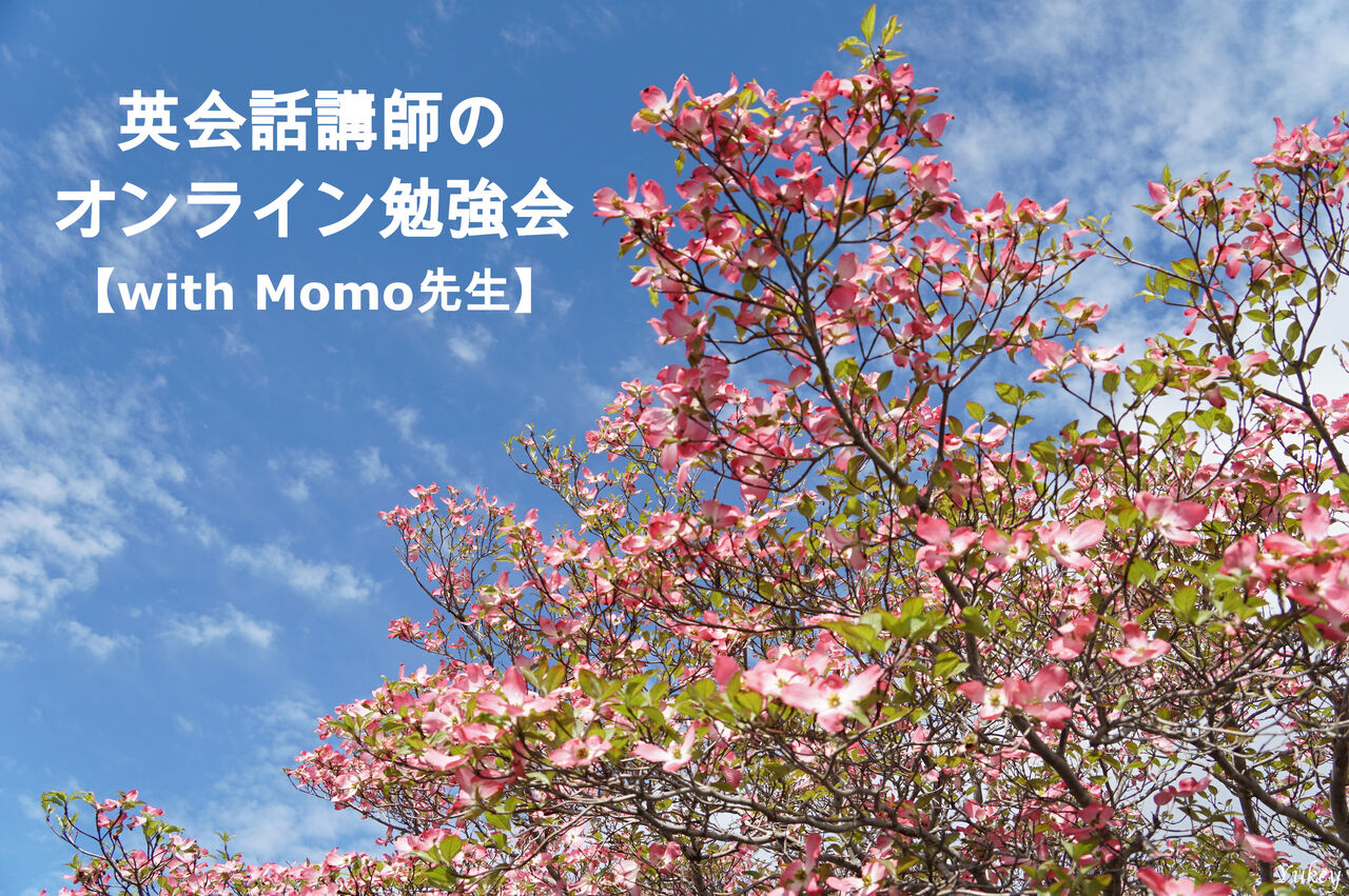 英会話講師のオンライン勉強会【with Momo先生】 : ゆっきー英語塾