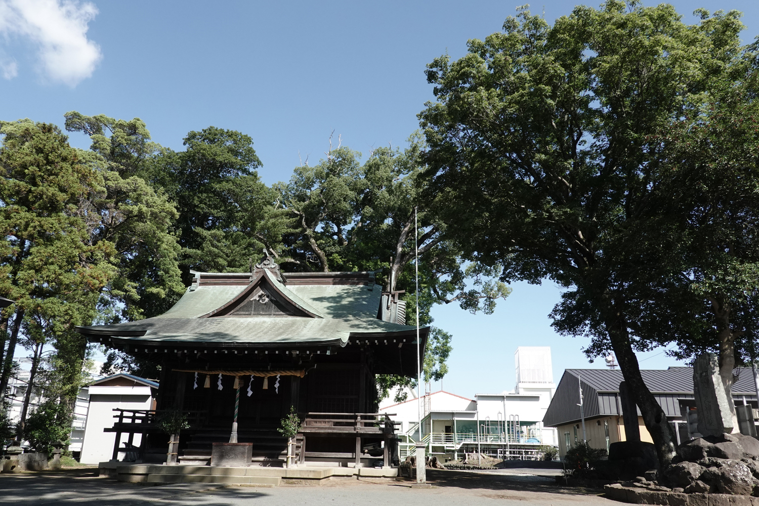 熊野神社の杜 : Topics BB