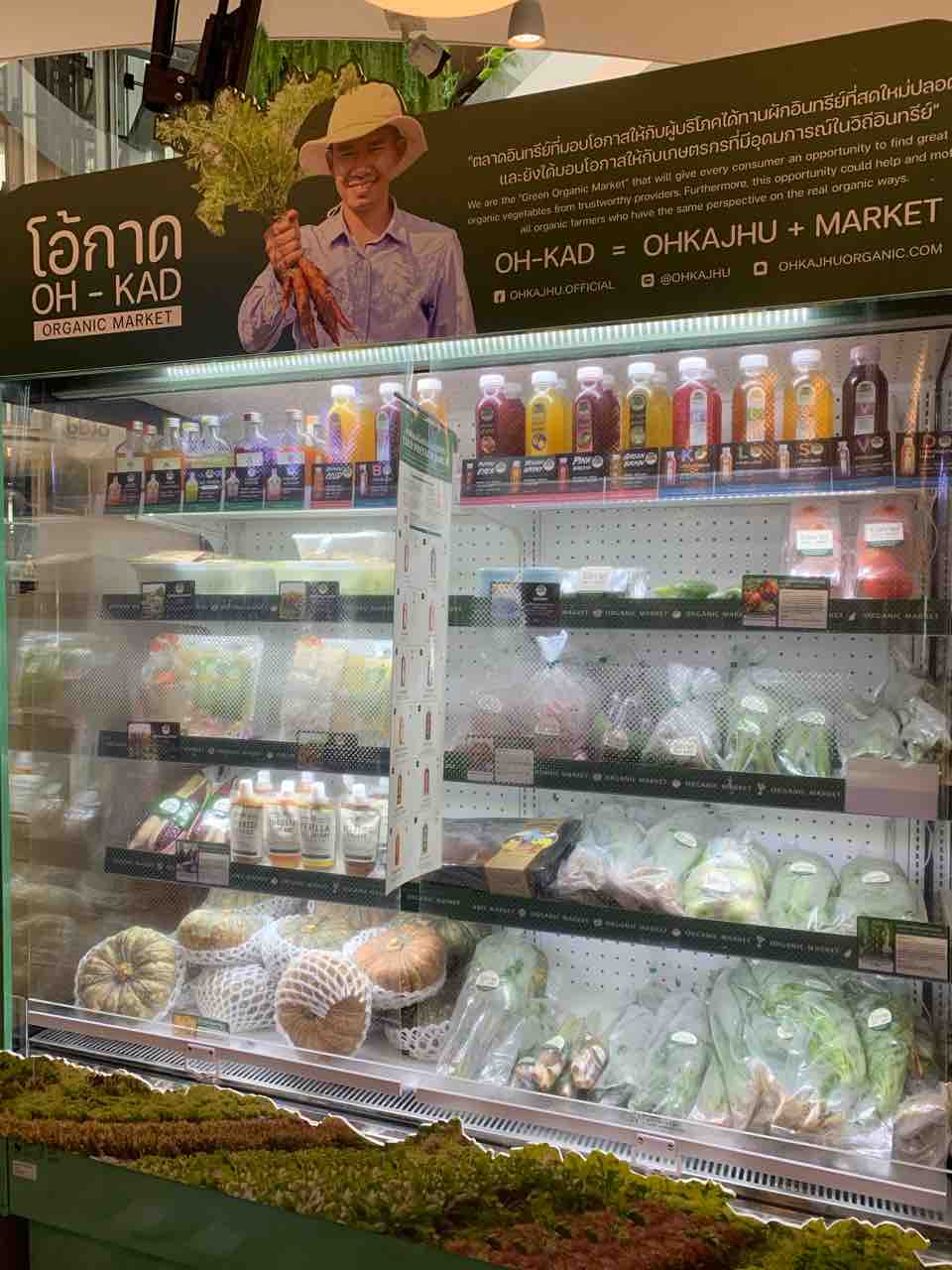 オーガニック野菜の人気レストラン「OHKAJHU」 : バンコクで暮らそう