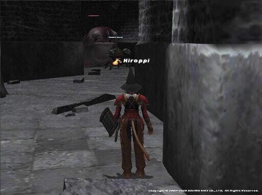 FF11 獣使いクラブ:新NM Frogamander 「獣的」永遠のライバルに認定。