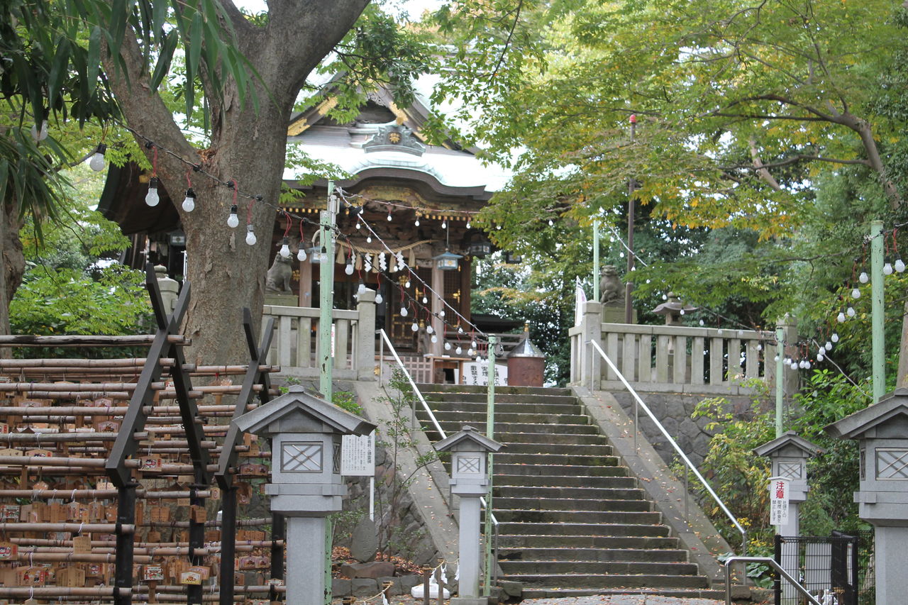 リンゴ・スター「Occapella」 : やさしいThe Beatles入門