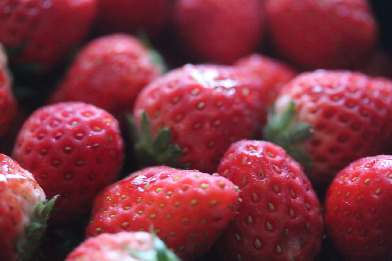 The Monkees「Salesman」 : やさしいThe Beatles入門