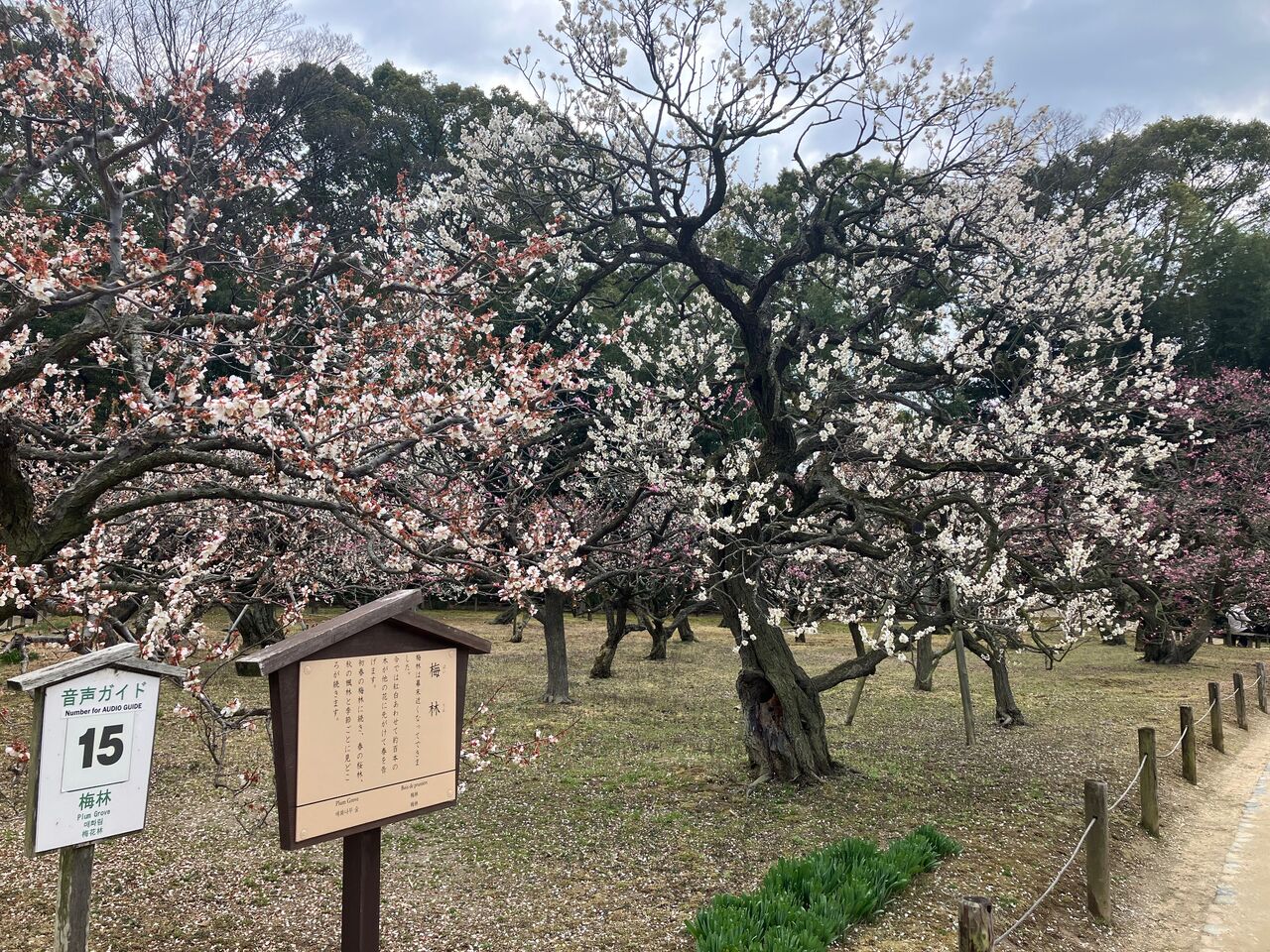 2025年03月 : 7L4WVU 自作アマチュア無線局