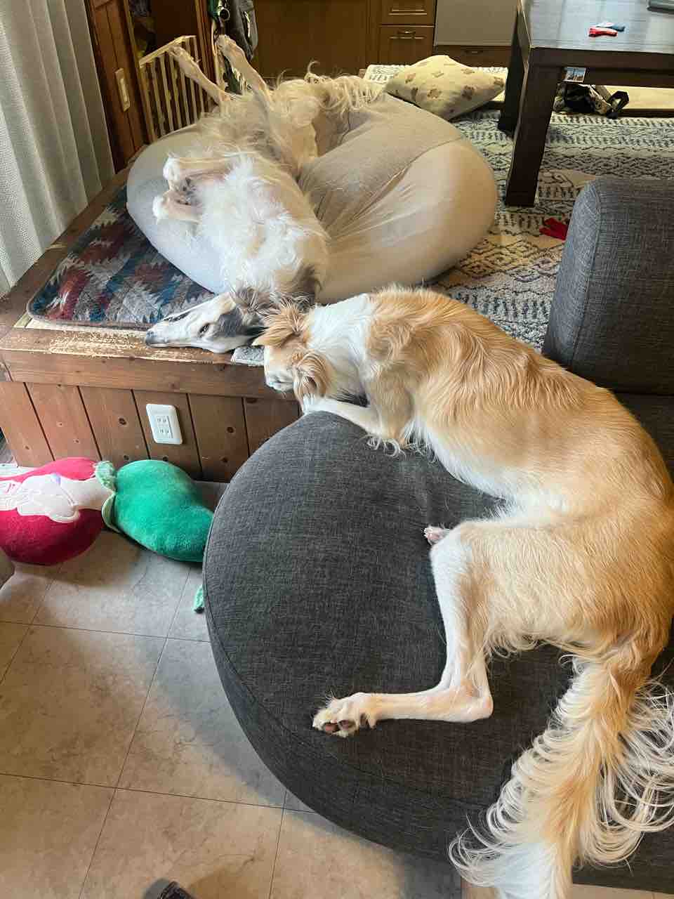 雨の日。 : .•*.•*beny beny*•.*•.