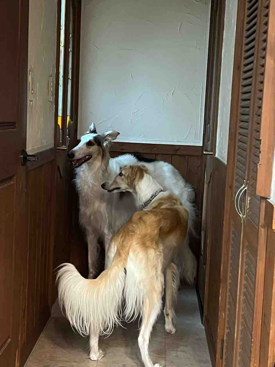 休み明け。 : .•*.•*beny beny*•.*•.