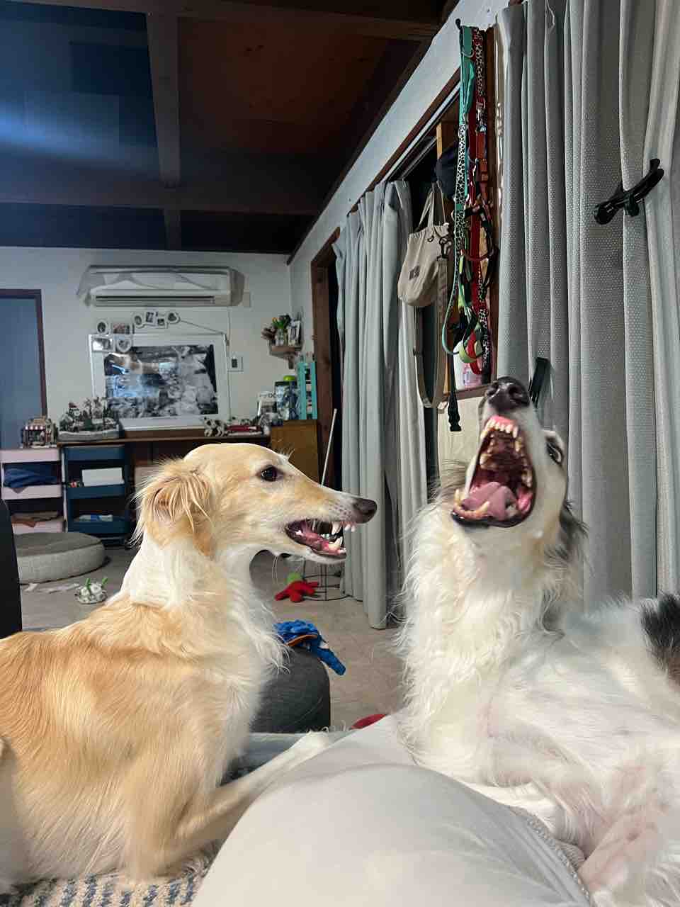 暑過ぎる。 : .•*.•*beny beny*•.*•.