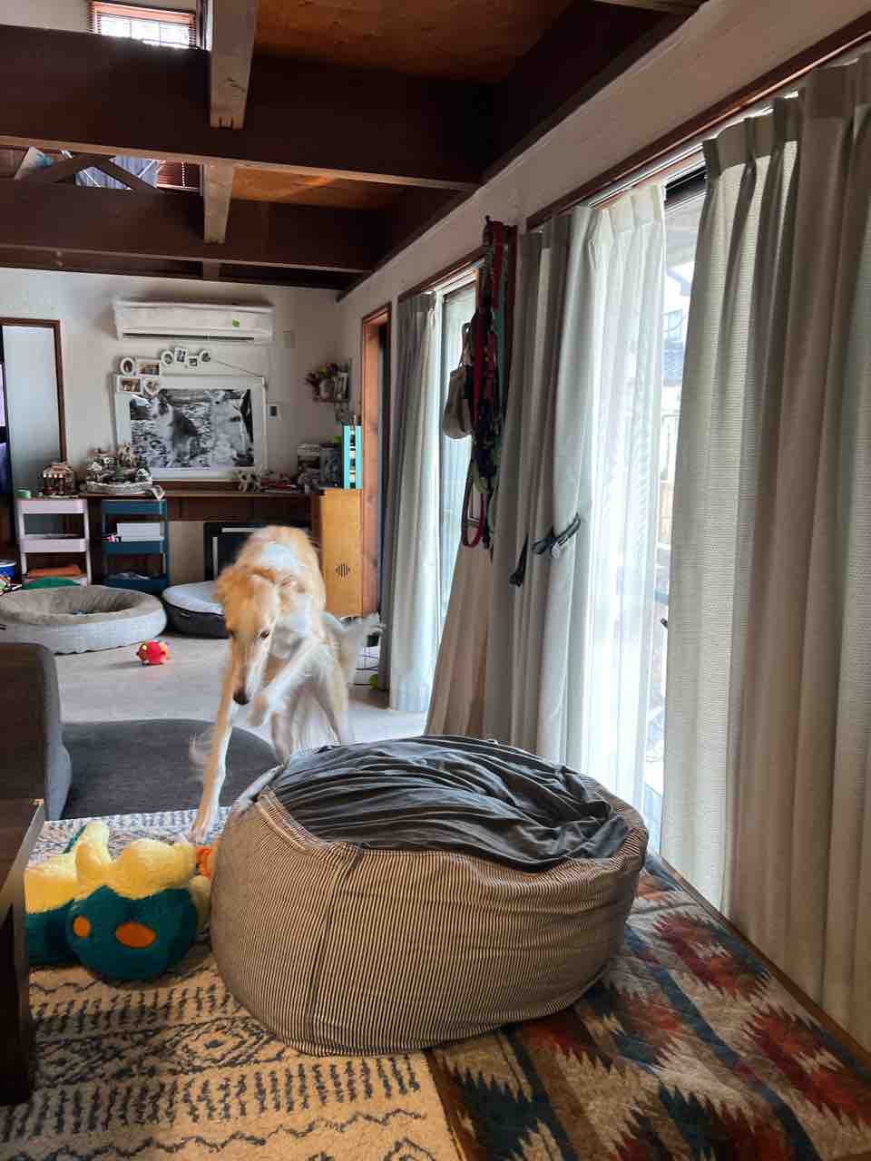 遊んでーーー！！ : .•*.•*beny beny*•.*•.