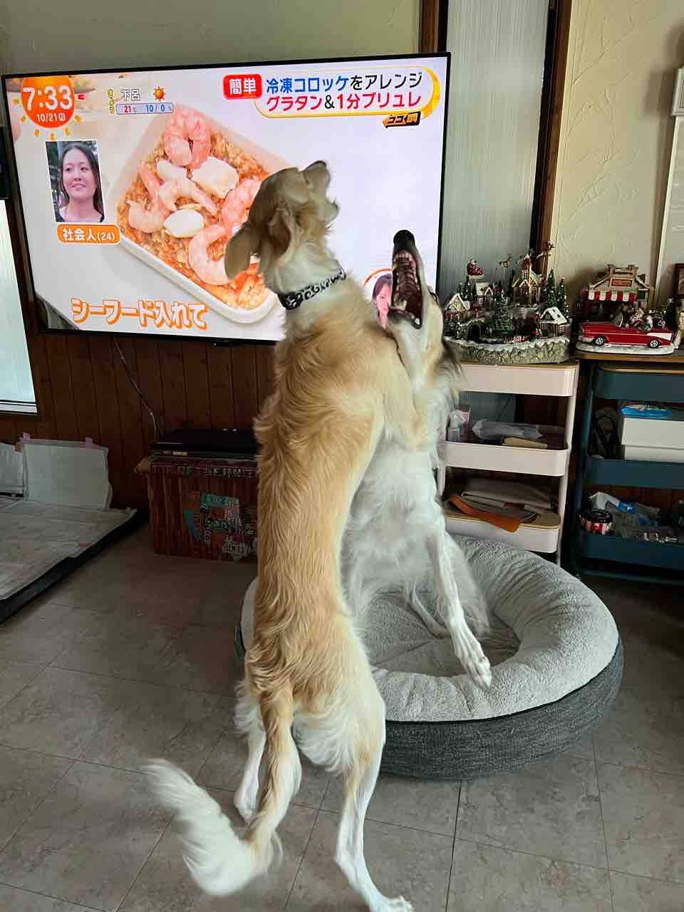 仲良し兄弟。 : .•*.•*beny beny*•.*•.