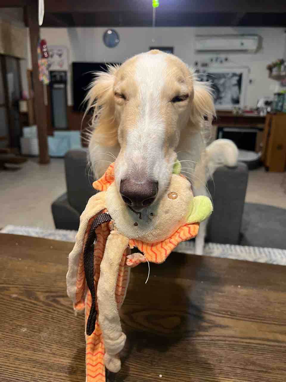 休日。 : .•*.•*beny beny*•.*•.