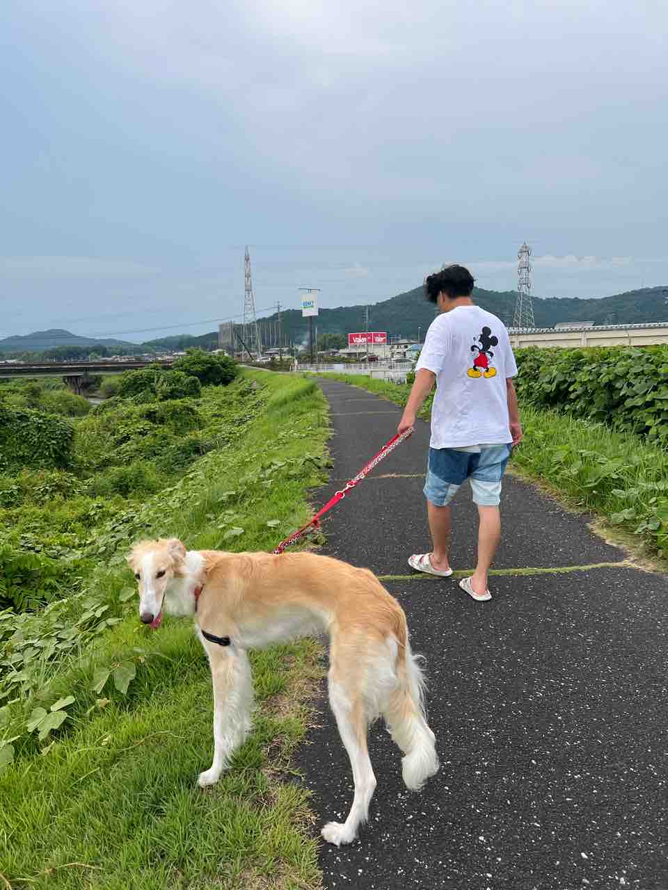 暑過ぎる。 : .•*.•*beny beny*•.*•.