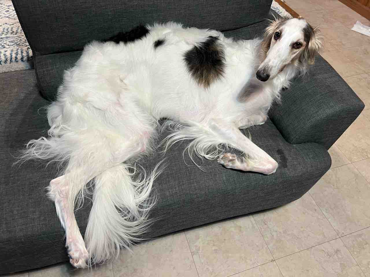 休日。 : .•*.•*beny beny*•.*•.