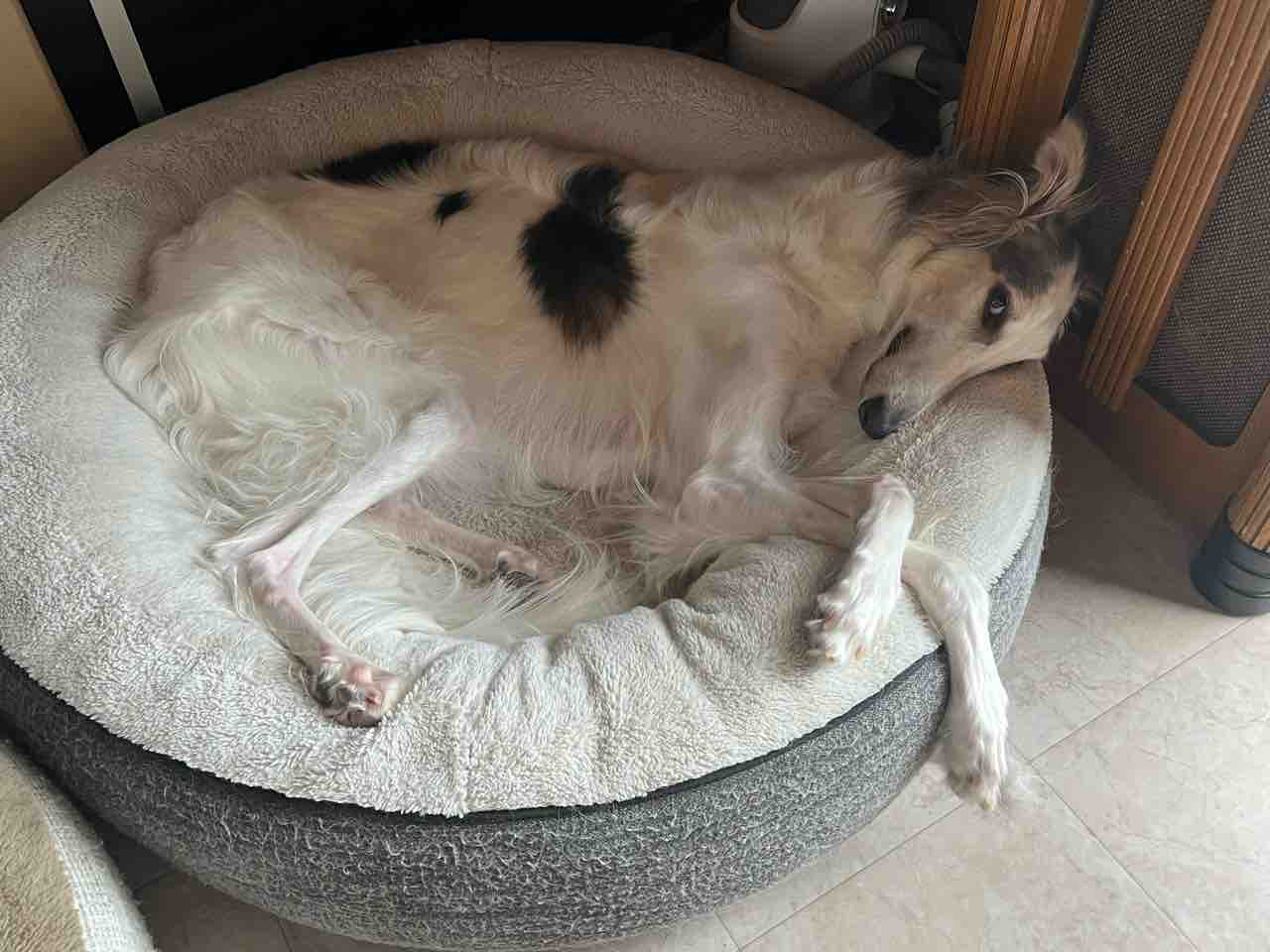 休み明け。 : .•*.•*beny beny*•.*•.