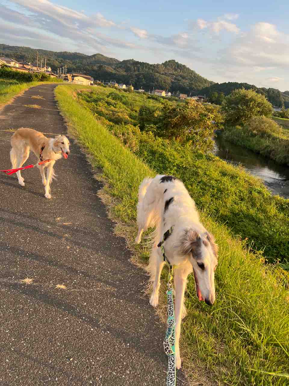 疲れる週末。 : .•*.•*beny beny*•.*•.