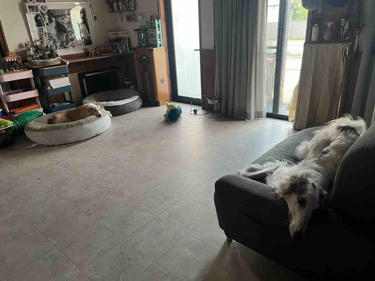 疲れる週末。 : .•*.•*beny beny*•.*•.