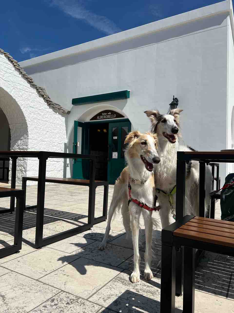 開けっぱなしでリトル。 : .•*.•*beny beny*•.*•.