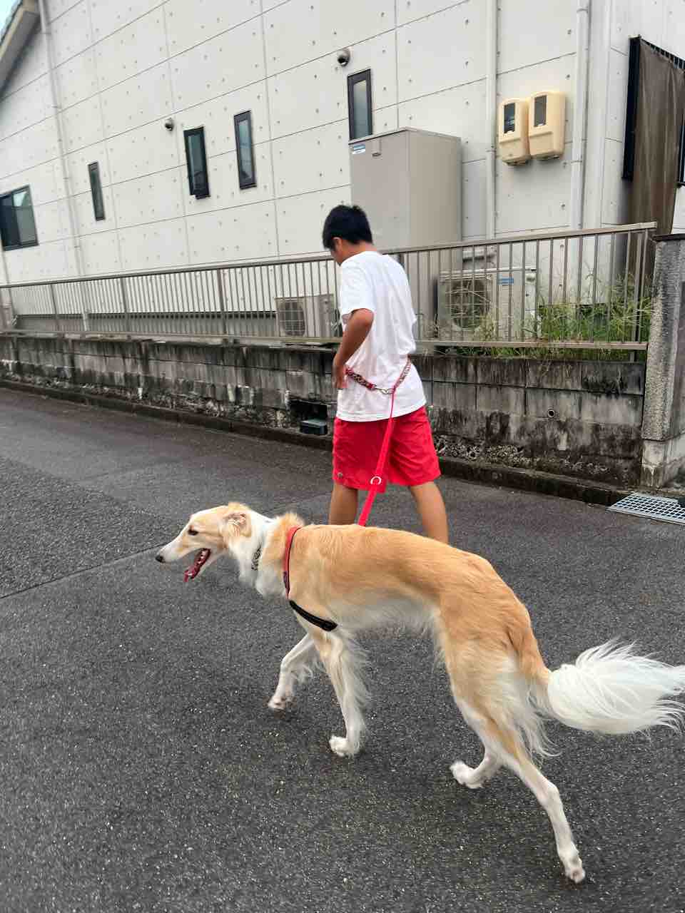 兄弟シンクロ。 : .•*.•*beny beny*•.*•.