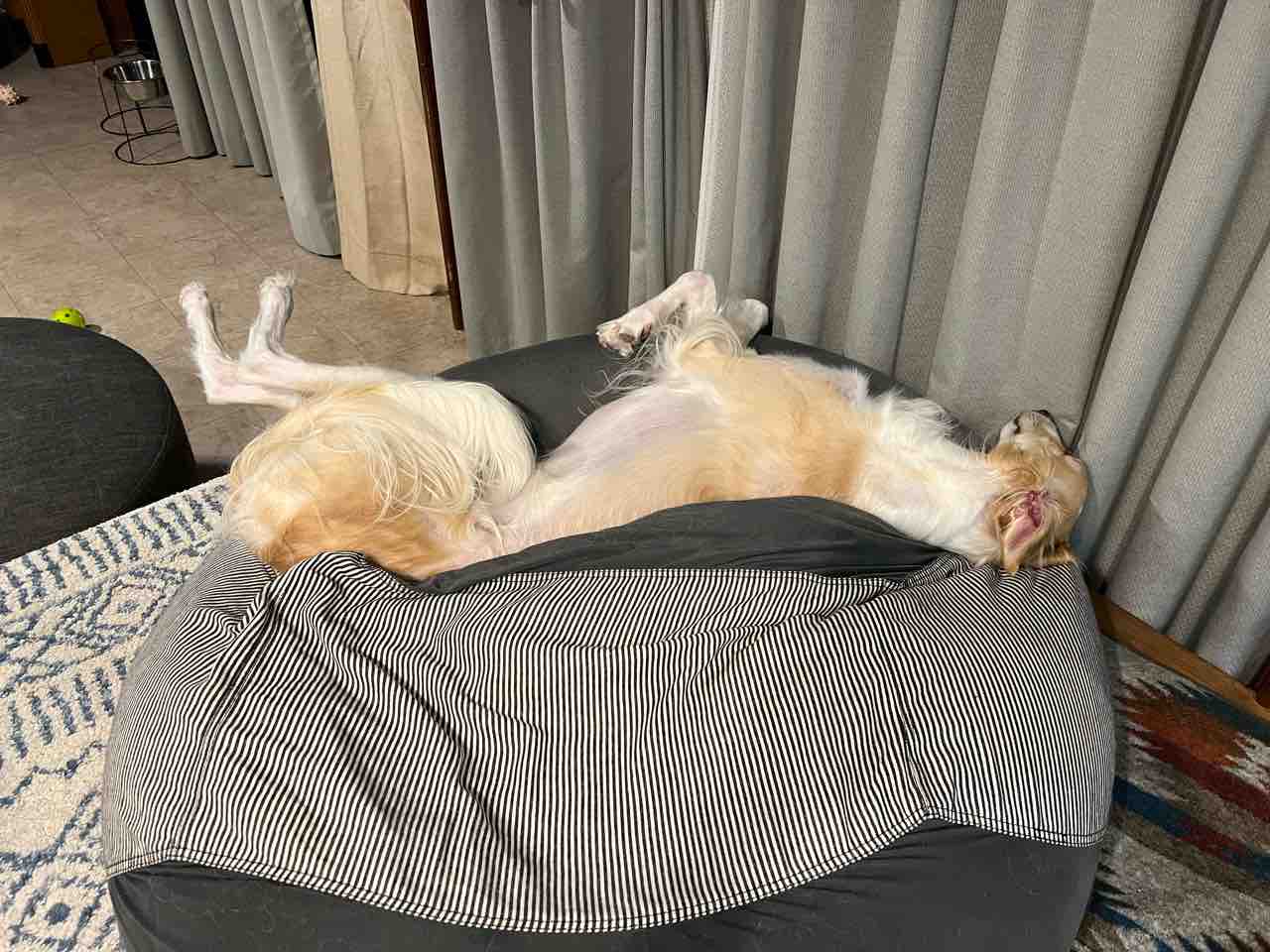 休日。 : .•*.•*beny beny*•.*•.