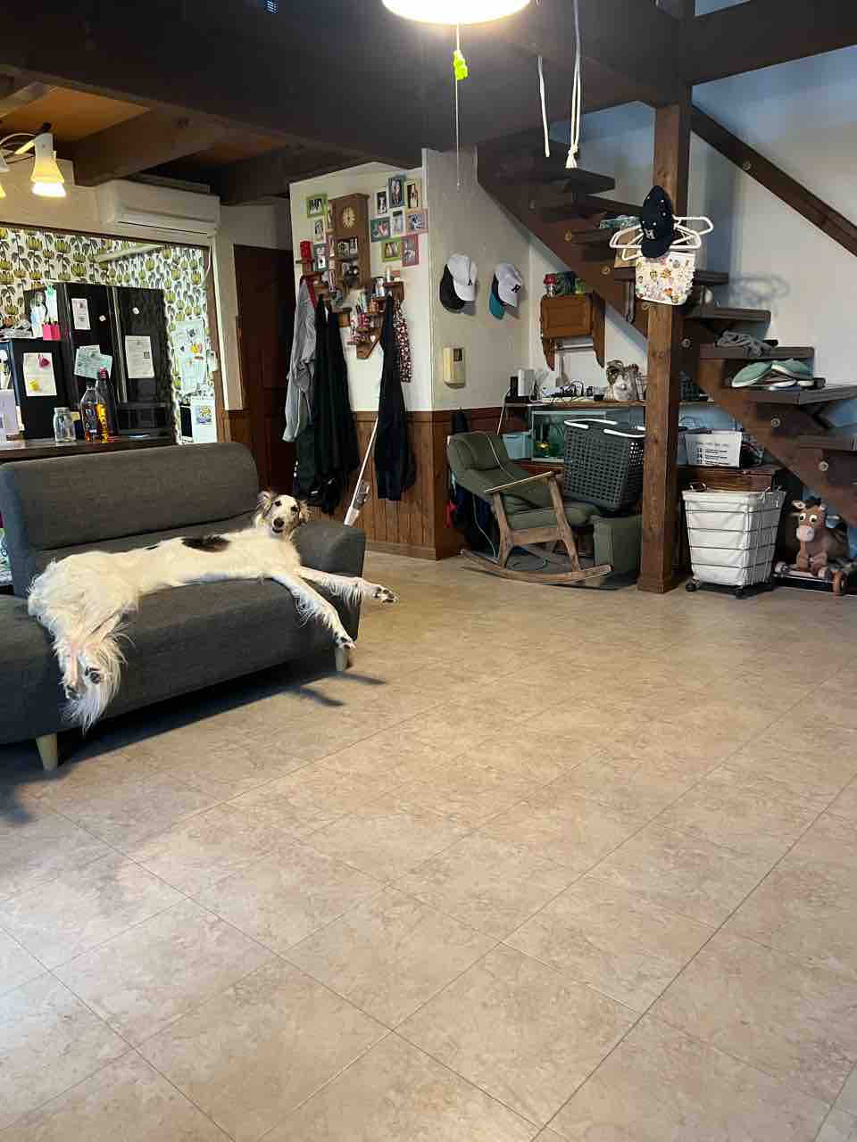 散歩。 : .•*.•*beny beny*•.*•.